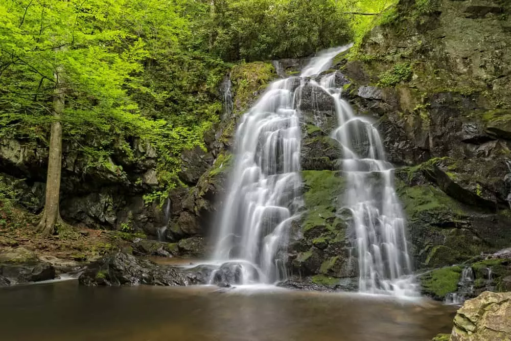 Answering Your Questions About Tremont at Great Smoky Mountains ...
