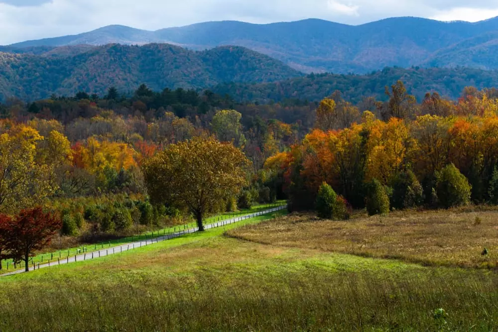 Enjoy the Fall Scenery with the 5 Best Fall Scenic Drives in the Smoky ...
