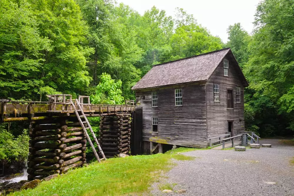 Everything You Need to Know About Mingus Mill