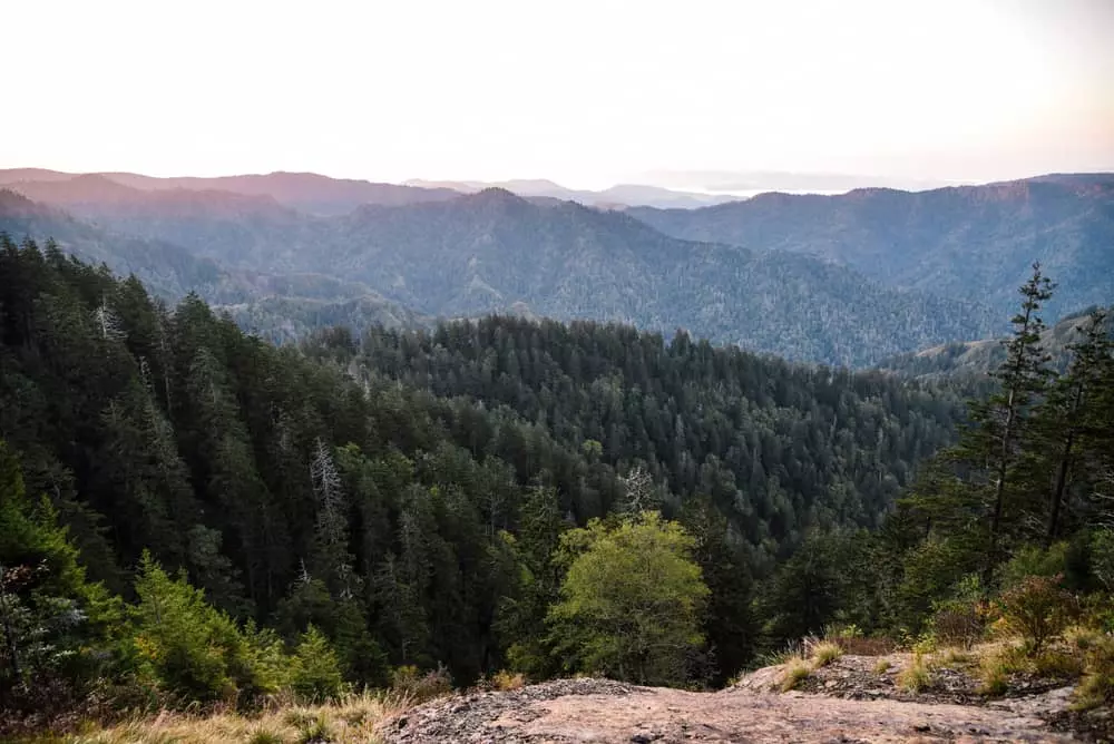 Explore the 5 Highest Peaks in the Smoky Mountains