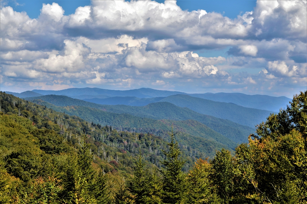 4 Reasons to Visit the Smoky Mountains for Summer Vacation