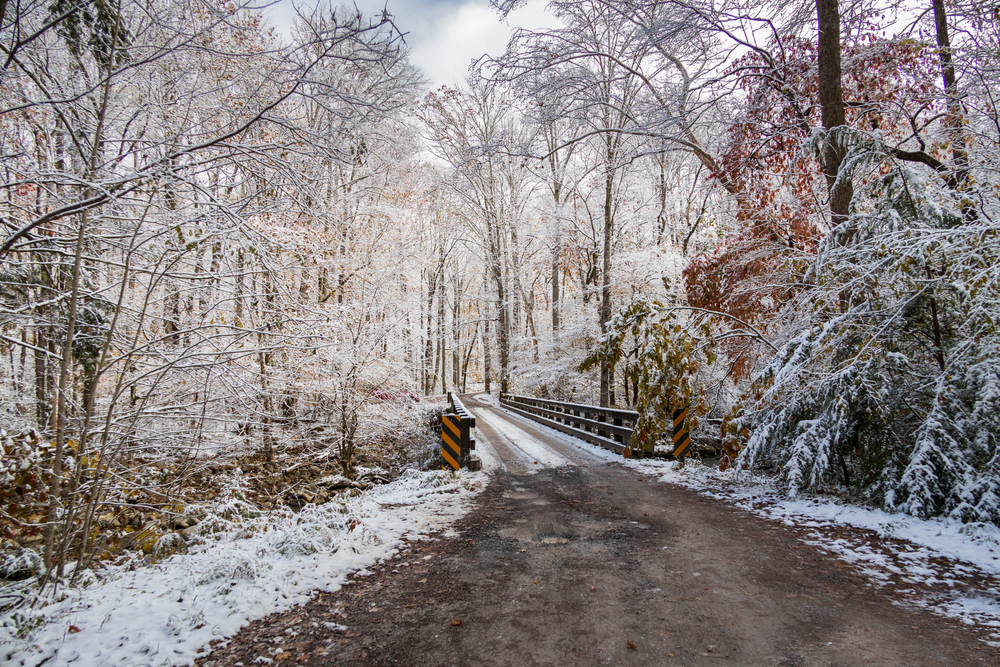 4 Unique Things to Do in the Great Smoky Mountains in the Winter